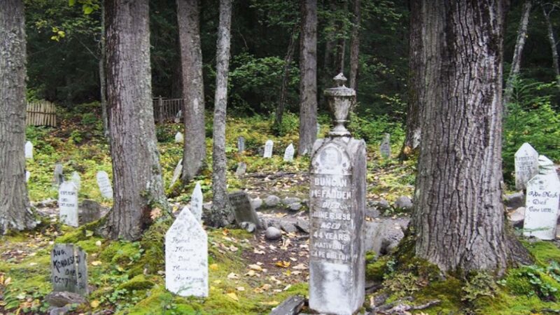 10 Largest Cemeteries in the US [Update 2024]