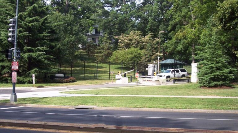 17 Largest Public Libraries in the US [Update 2024]