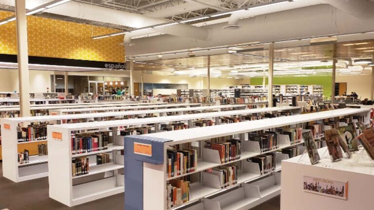17 Largest Public Libraries in the US [Update 2024]