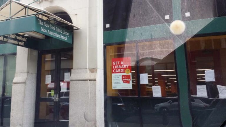 17 Largest Public Libraries in the US [Update 2024]