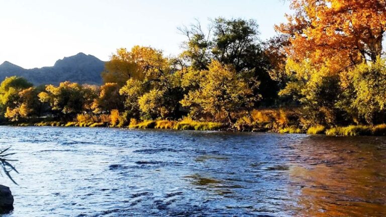 Top 10 Deepest Rivers in the US [Update 2024]