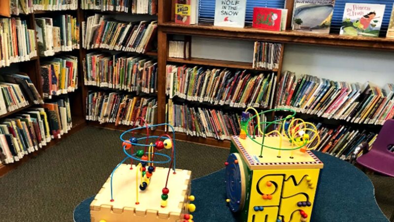 17 Largest Public Libraries in the US [Update 2024]