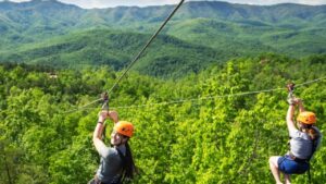 13 Best Ziplines in Georgia [Update 2024]
