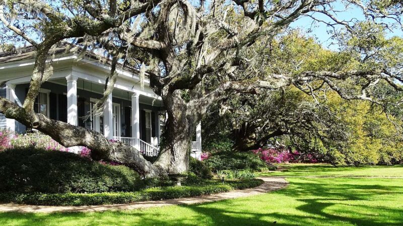 10 Most Expensive Houses in Alabama [Update 2024]