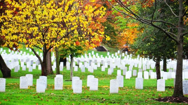 13 Major Cemeteries in Georgia [Update 2024]