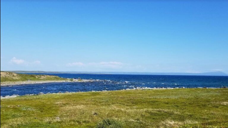 13 Largest Freshwater Lakes in the US [Update 2024]