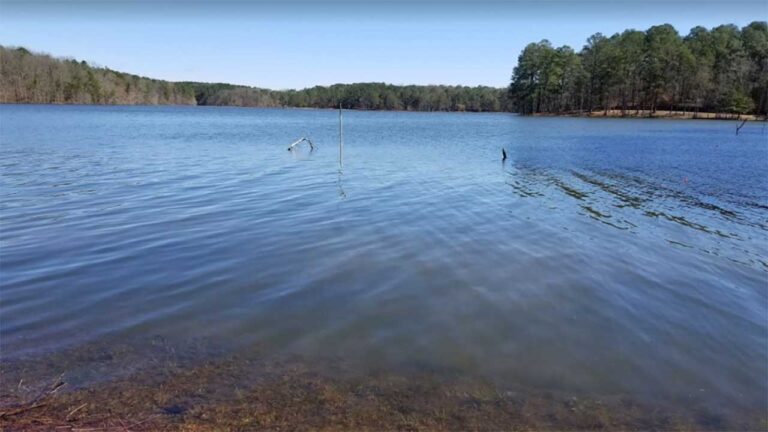 13 Best Fishing Lakes in Alabama [Update 2024]