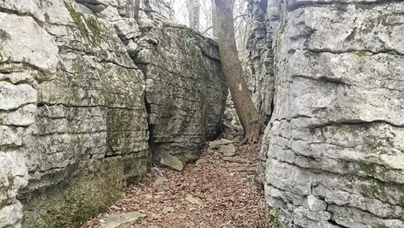 12 Best Hiking Trails in Alabama [Update 2024]