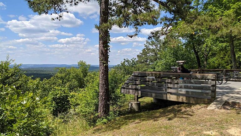 12 Best Hiking Trails in Alabama [Update 2024]