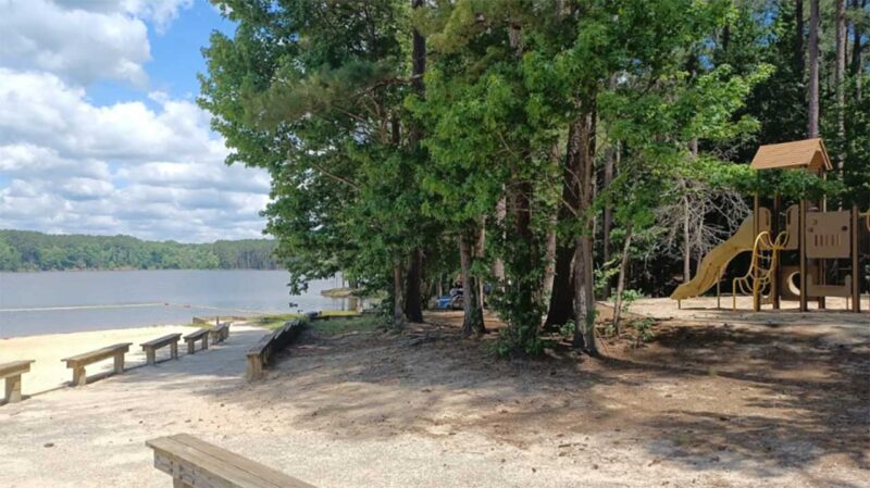 13 Best Fishing Lakes in Alabama [Update 2024]