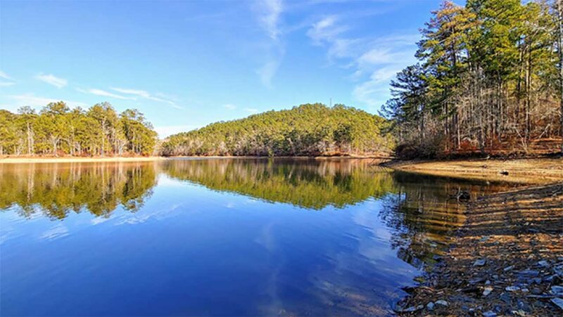 12 Best Hiking Trails in Alabama [Update 2024]
