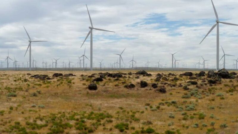 Top 12 Biggest Wind Farms in the US [Update 2024]