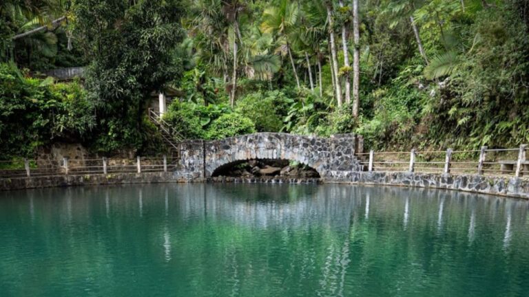 10 Wonderful Rainforests in the US that You Should Visit[Listed 2024]