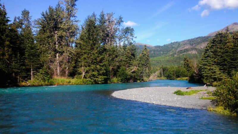 18 Most Beautiful Rivers in the US [Update 2024]