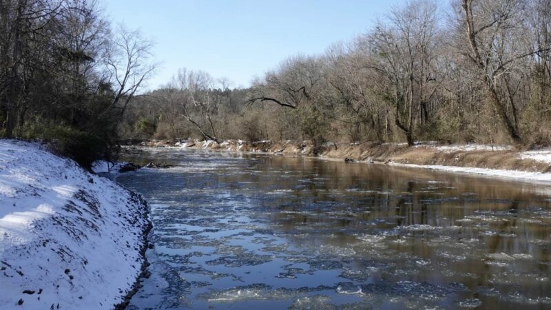 Top 10 Widest Rivers in the US [Update 2024]