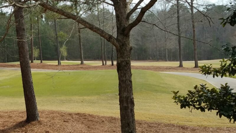 17 Top Rated Golf Courses in Alabama [Update 2024]