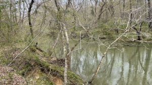 Top 13 Public Hunting Lands in Alabama [Update 2024]