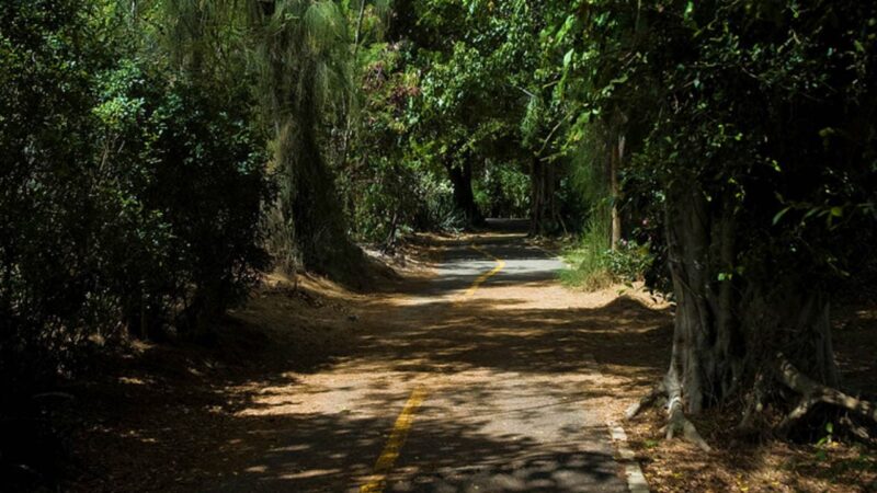 12 Epic Bike Trails in Georgia [Update 2024]