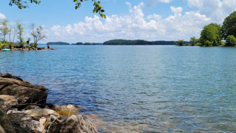 17 Best Lakes in Georgia You Must Visit [Update 2024]