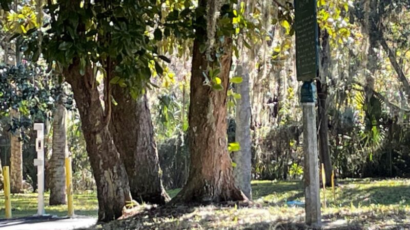 Top 10 Creepy Ghost Towns in Florida [Update 2024]