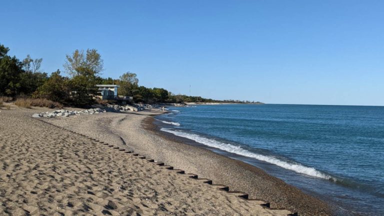11 Best Beaches in Illinois You Must Visit [Update 2024]