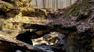 11 Best Caves in Indiana You can Explore [Update 2024]