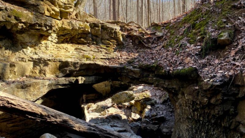 11 Best Caves in Indiana You can Explore [Update 2024]