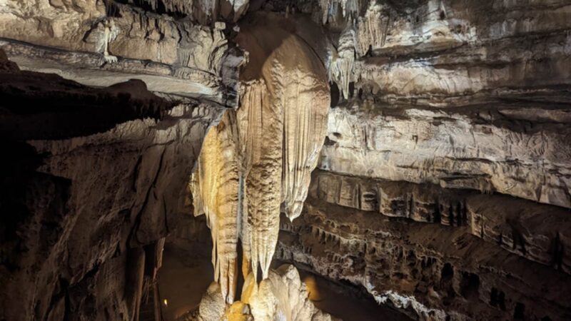 11 Best Caves in Indiana You can Explore [Update 2024]