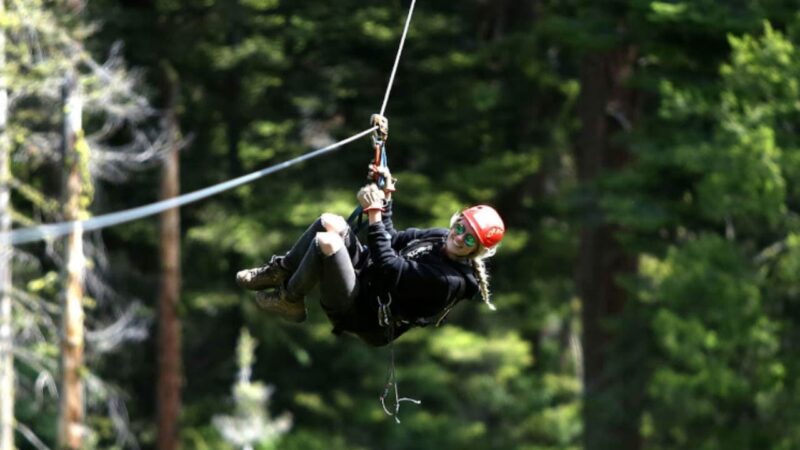 11 Extreme Ziplines in Idaho for Adventure Lovers [Update 2024]