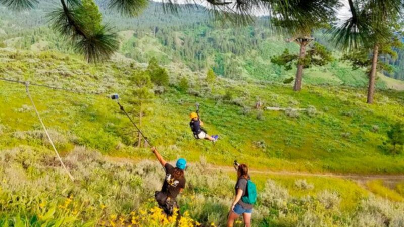 11 Extreme Ziplines in Idaho for Adventure Lovers [Update 2024]