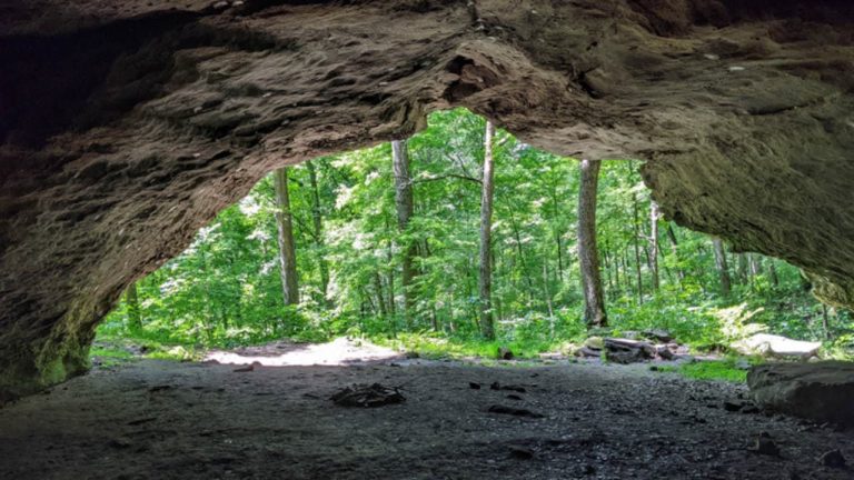 11 Fascinating Caves in Illinois You Can Explore [Update 2024]