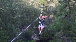13 Best Ziplines in Georgia [Update 2024]