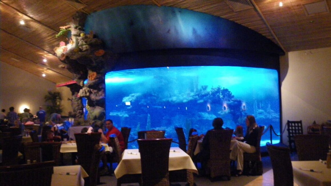 11 Best Zoos in Arizona You Must Visit [Update 2024]