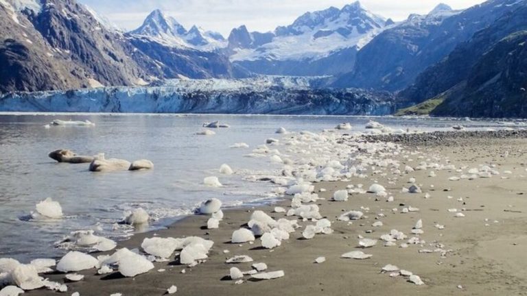12 Best Beaches in Alaska [Update 2024]