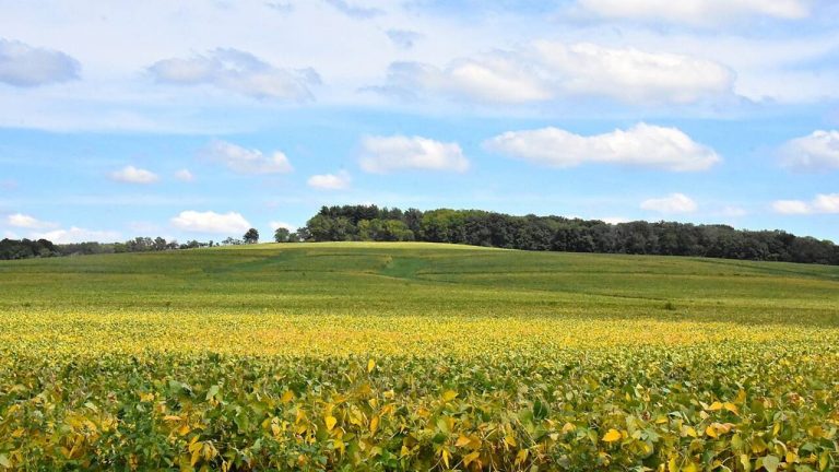 10 Major Mountains in Illinois [Update 2024]