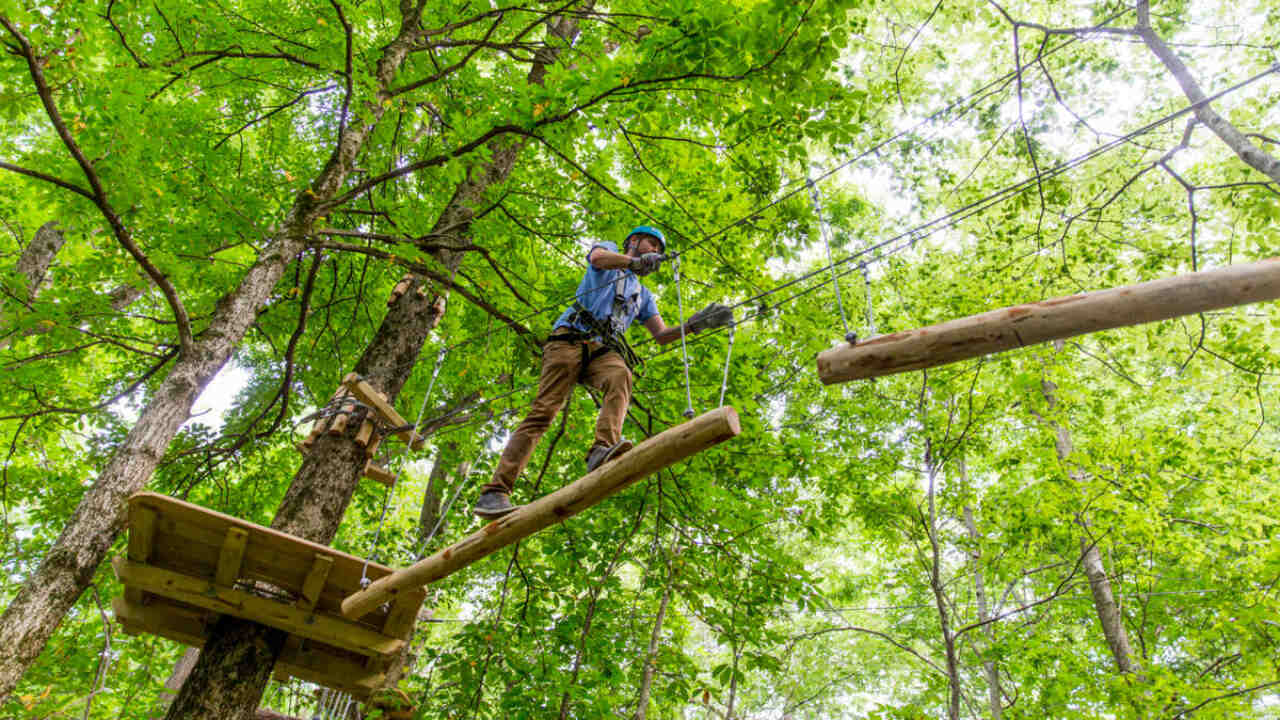 11 Best Ziplines in Indiana [Update 2024]