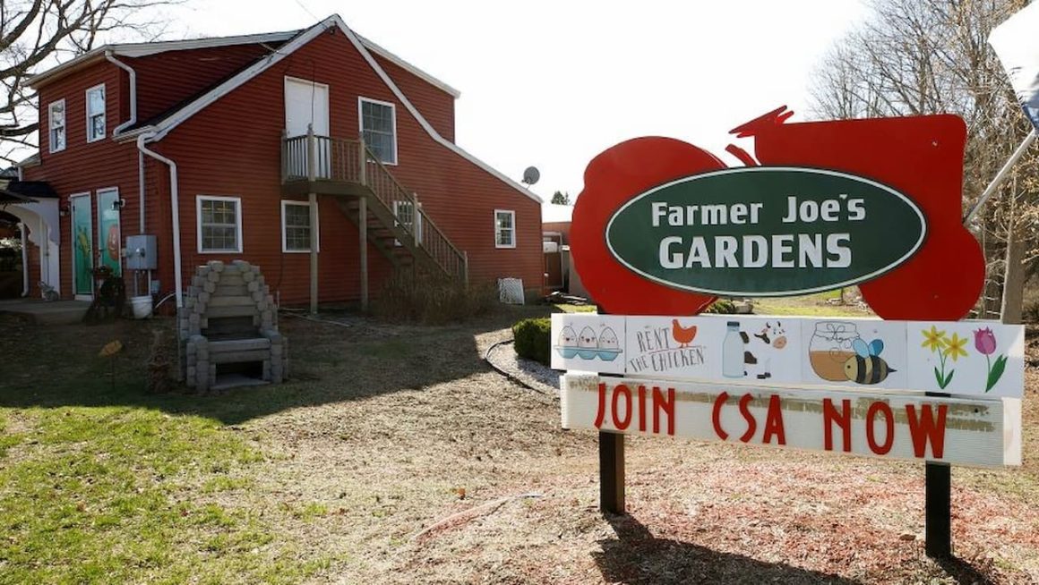 11 Wonderful Dairy Farms in Connecticut [Update 2024]