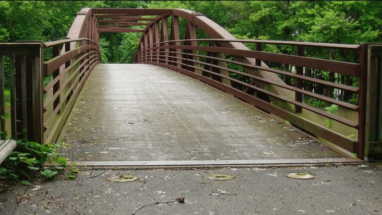 11 Amazing Bike Trails in Illinois [Update 2024]
