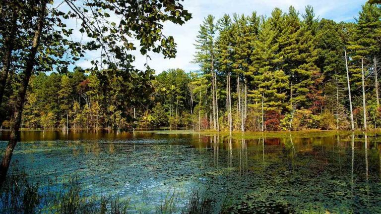 12 Best Campgrounds in Indiana [Update 2024]