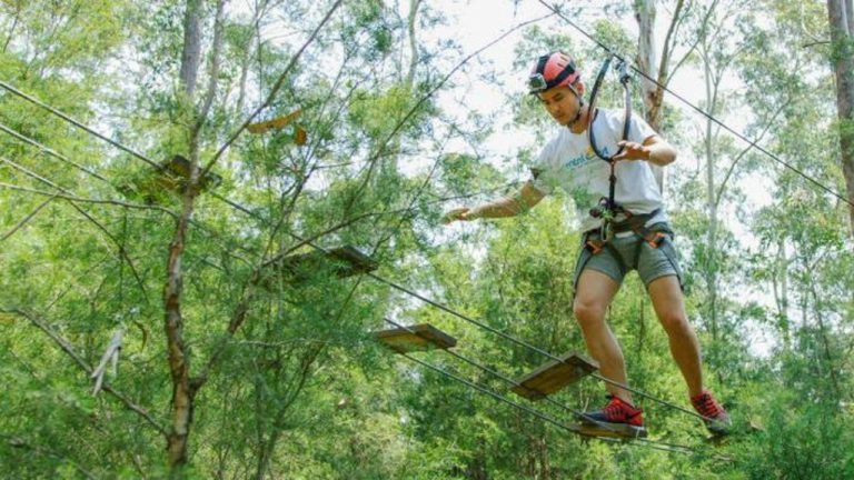 11 Best Ziplines in Indiana [Update 2024]