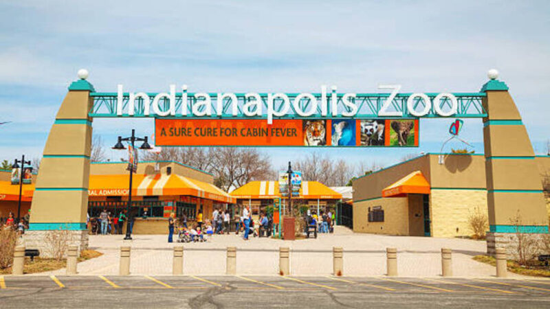 11 Best Zoos in Indiana to Visit with Family [Update 2024]