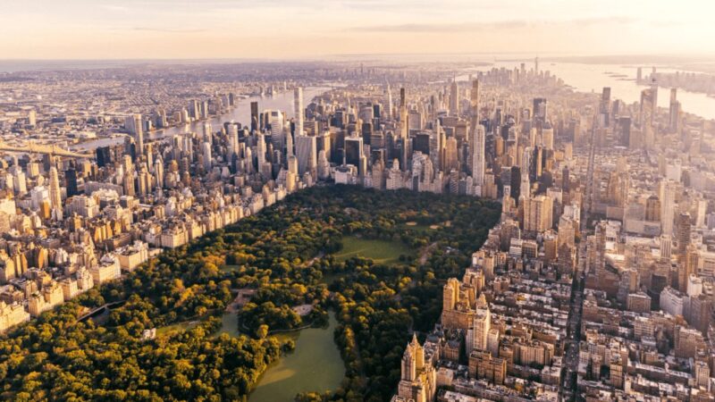 Top 15 Most Diverse Cities in the US [Report 2024]