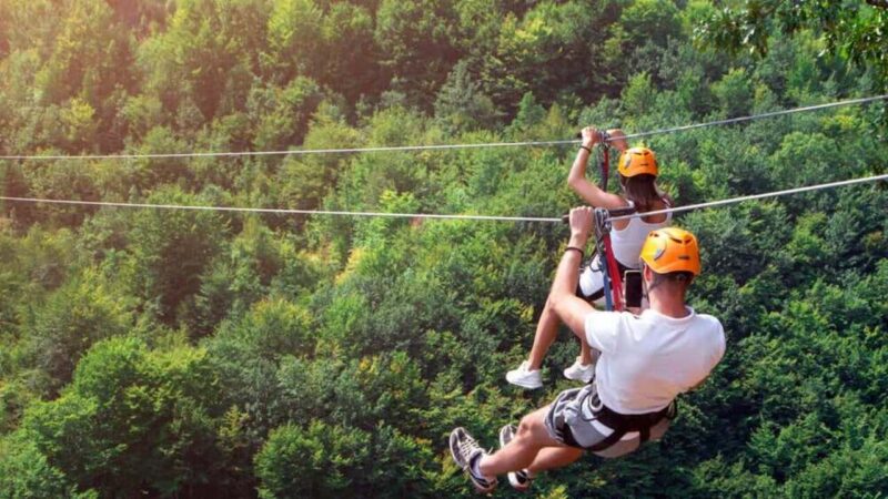 12 Best Ziplines in California [Update 2024]