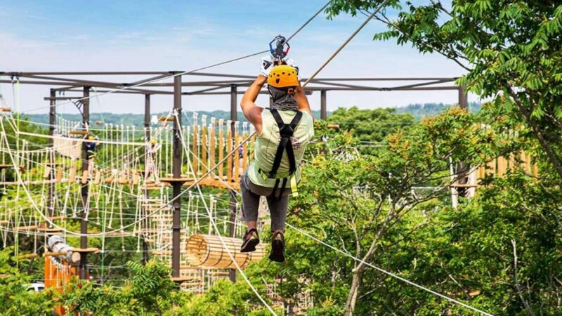 11 Best Ziplines in Illinois You can Enjoy [Update 2024]