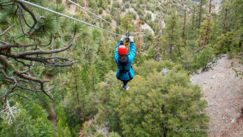 12 Best Ziplines in California [Update 2024]