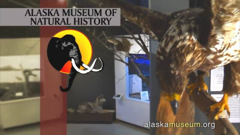 13 Wonderful Museums in Alaska [Update 2024]