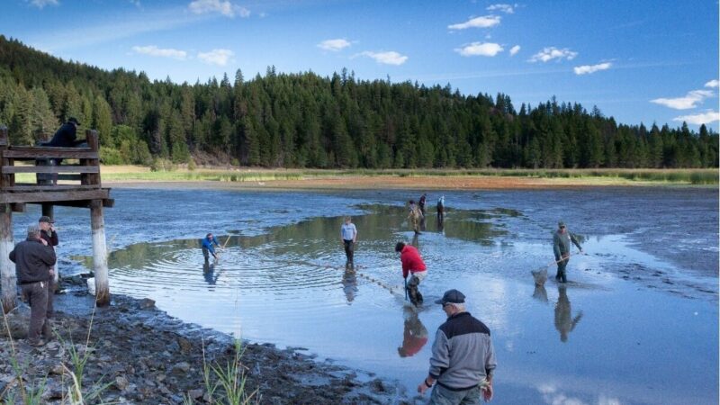 Top 10 Deepest Ponds in the US [Update 2024]
