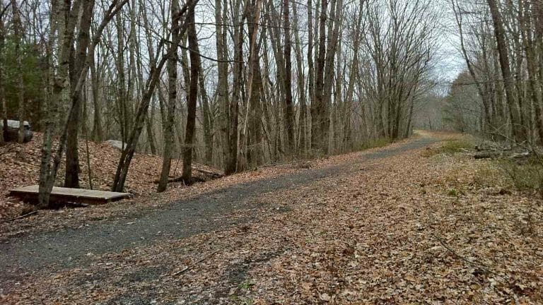 13 Epic Bike Trails in Connecticut [Update 2024]