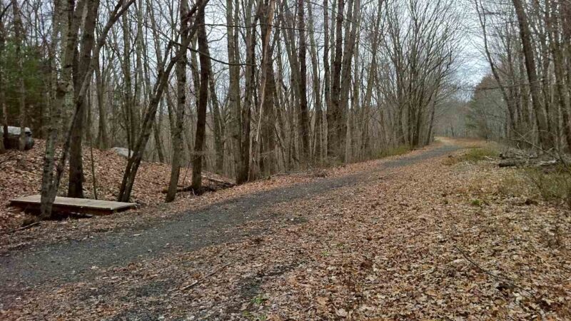 Top 12 Extreme Hiking Trails in Delaware [Update 2024]