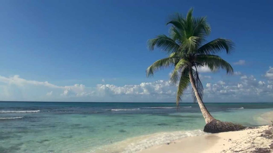 12 Best Beaches in Alaska [Update 2024]